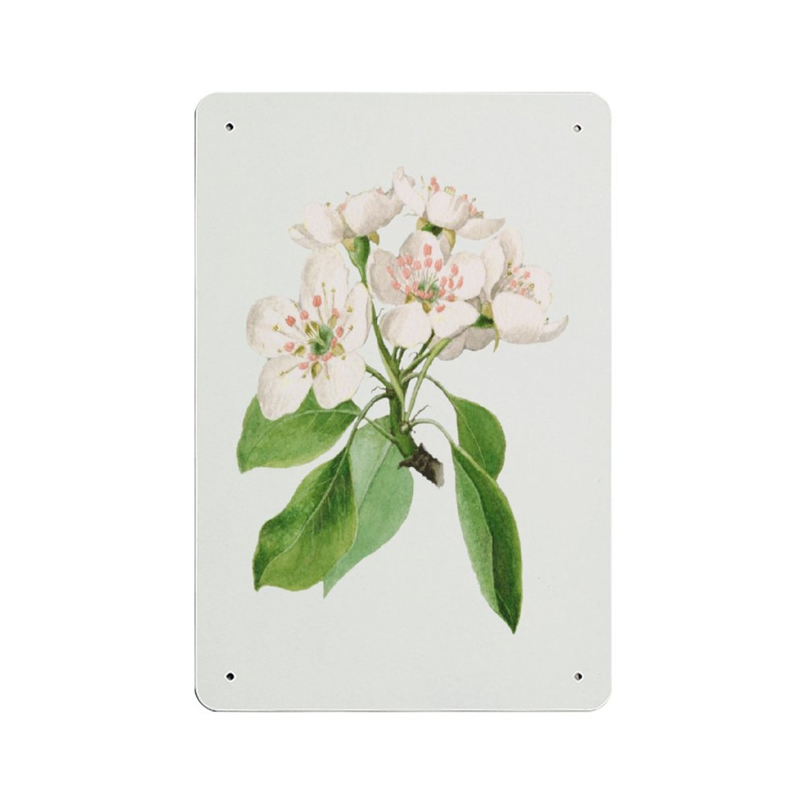PRINTABLE WALL ART Vintage Pear Flowers tin sign, Wall Decor, Home ...