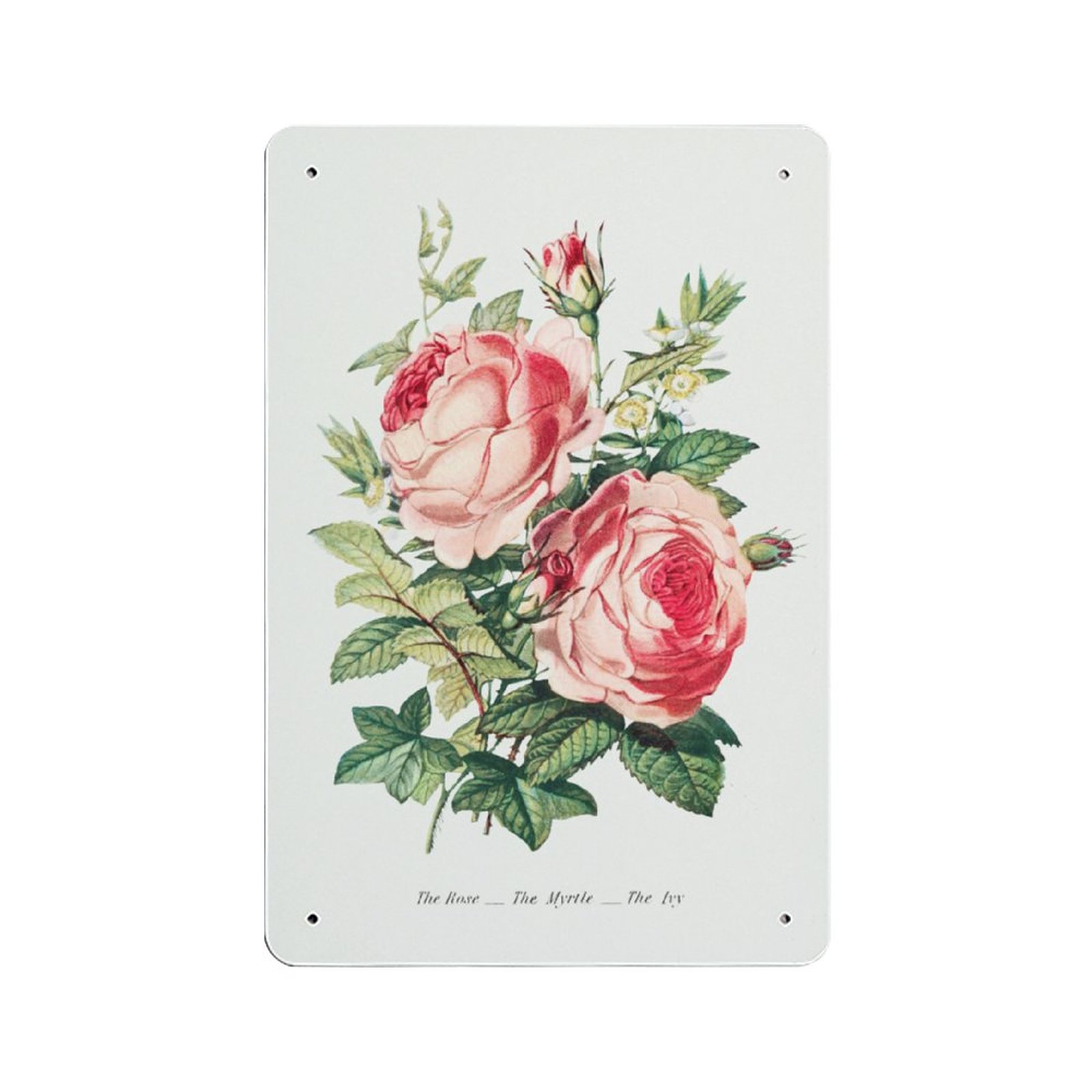 PRINTABLE WALL ART Vintage Rose Myrtle Flower tin sign, Wall Decor ...