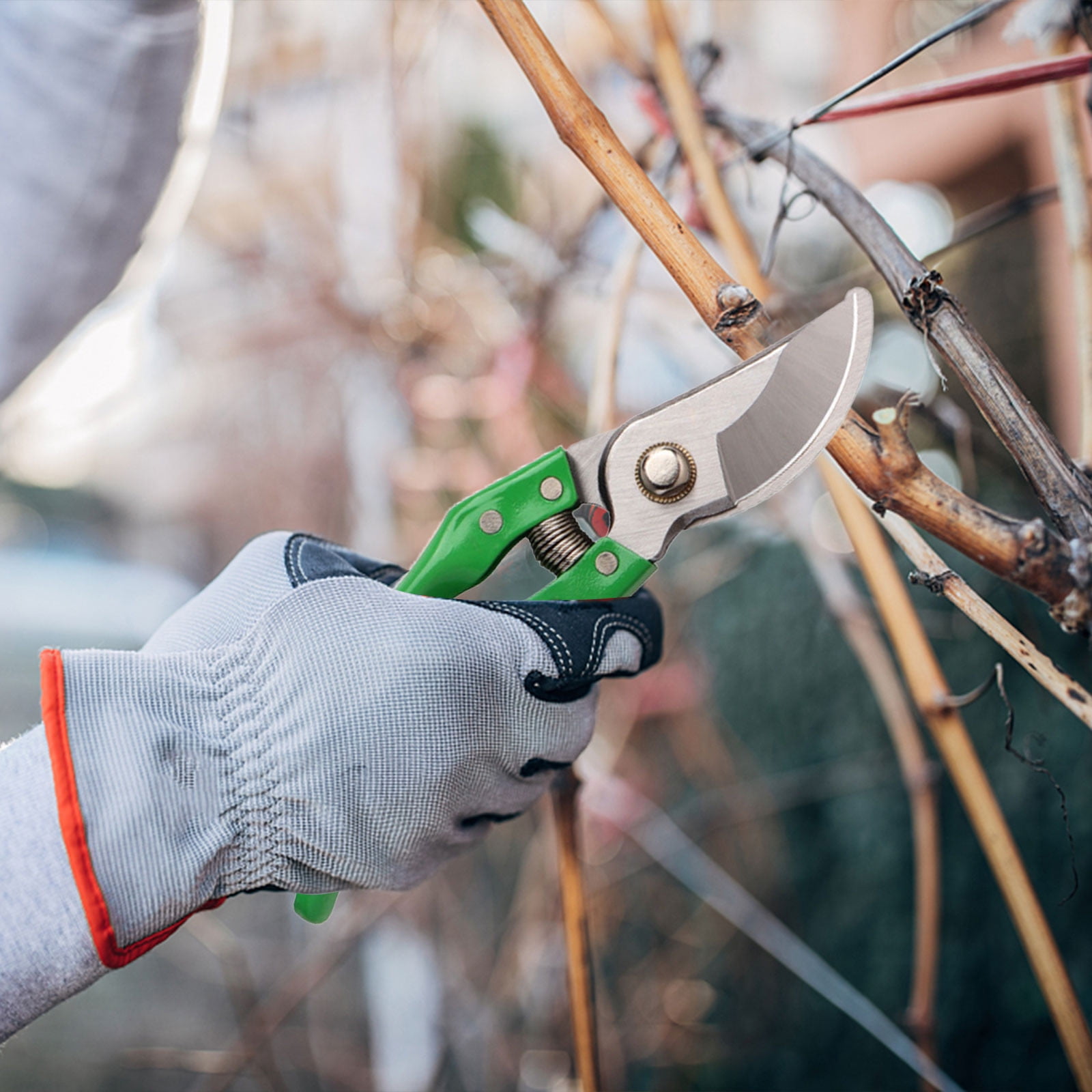 PRINxy Garden Pruning Shears Stainless Steel Blades Handheld Pruners ...