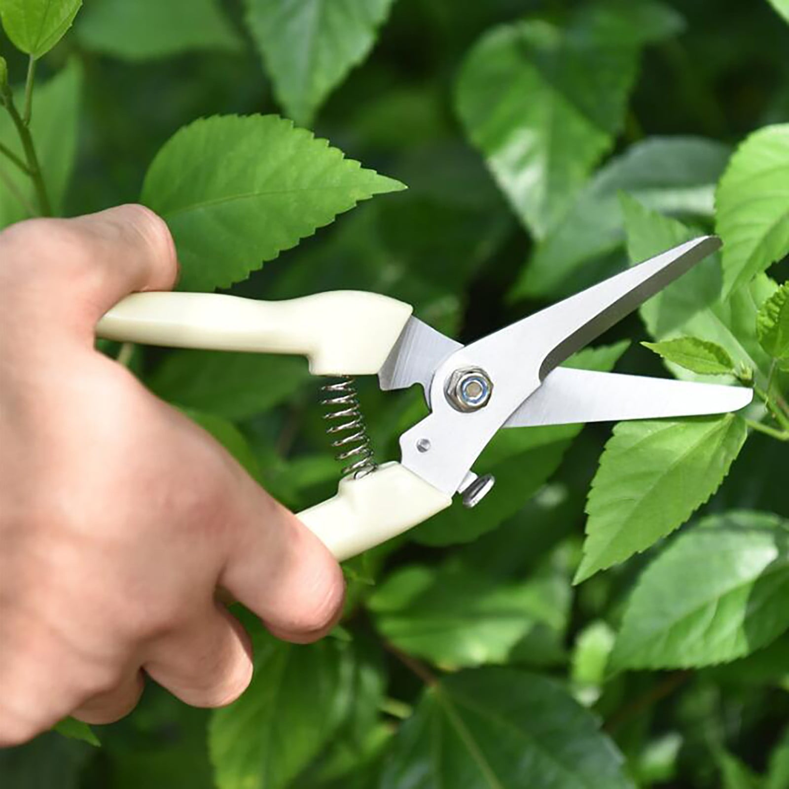 PRINxy Multifunction Stainless Steel Tree Pruning Scissors Garden Fruit ...