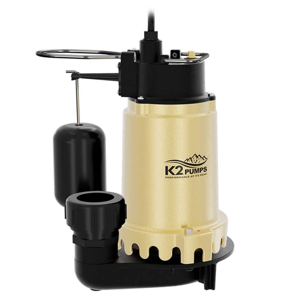 PRO 1/3 HP Heavy- Duty Cast Iron Sump Pump with Snap Action Switch ...