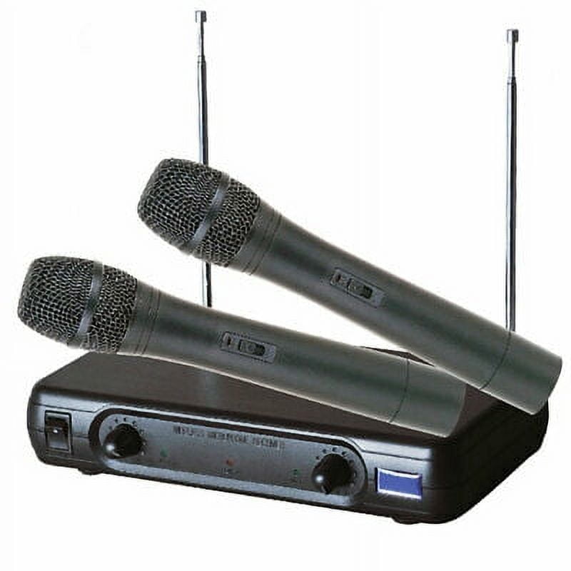 PRO UHF Wireless Microphone Dual Handheld 2X Mic Cordless Receiver PBDD ...