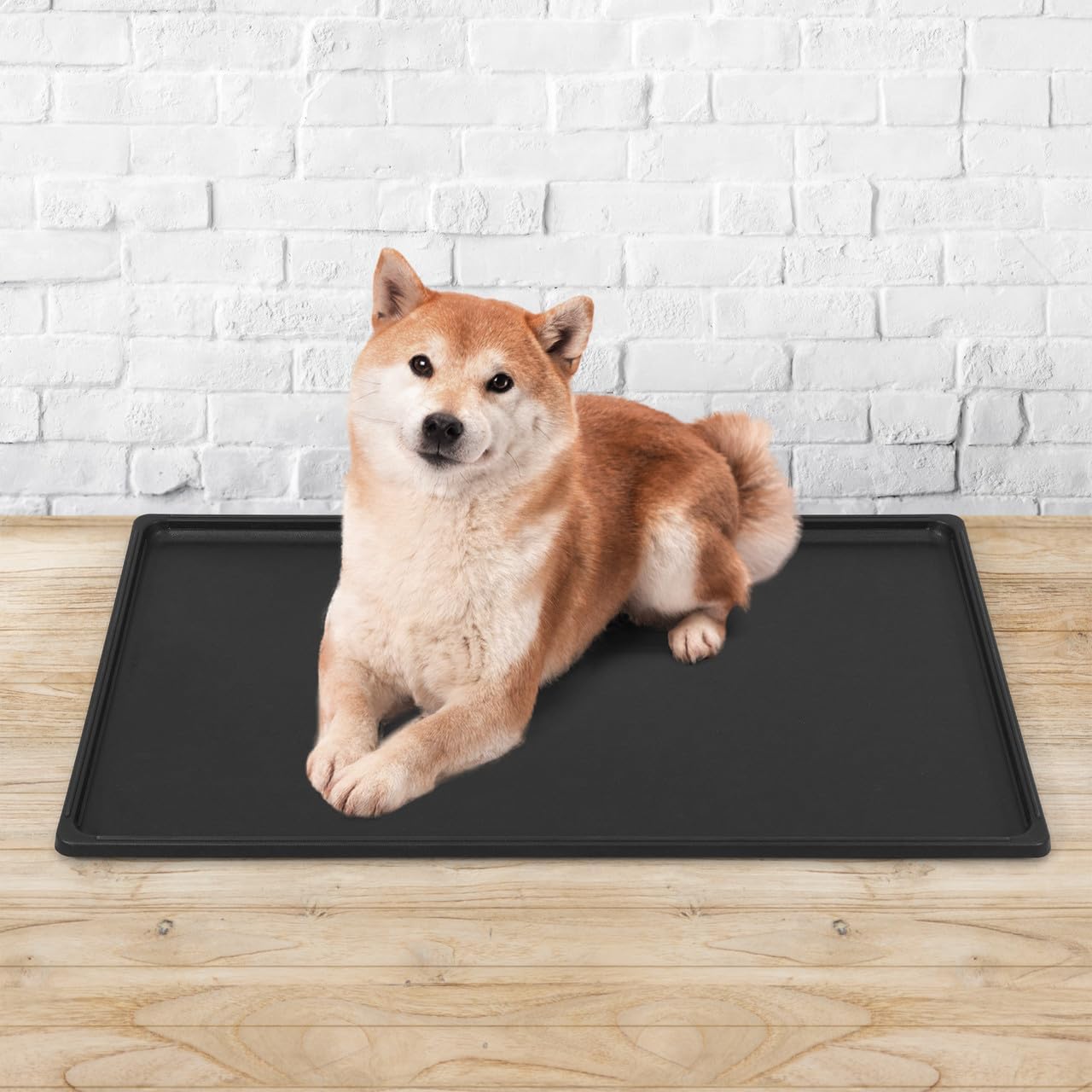 PRZL 35" Replacement Tray for 36” Dog Crate, Durable, Multi-Purpose ...