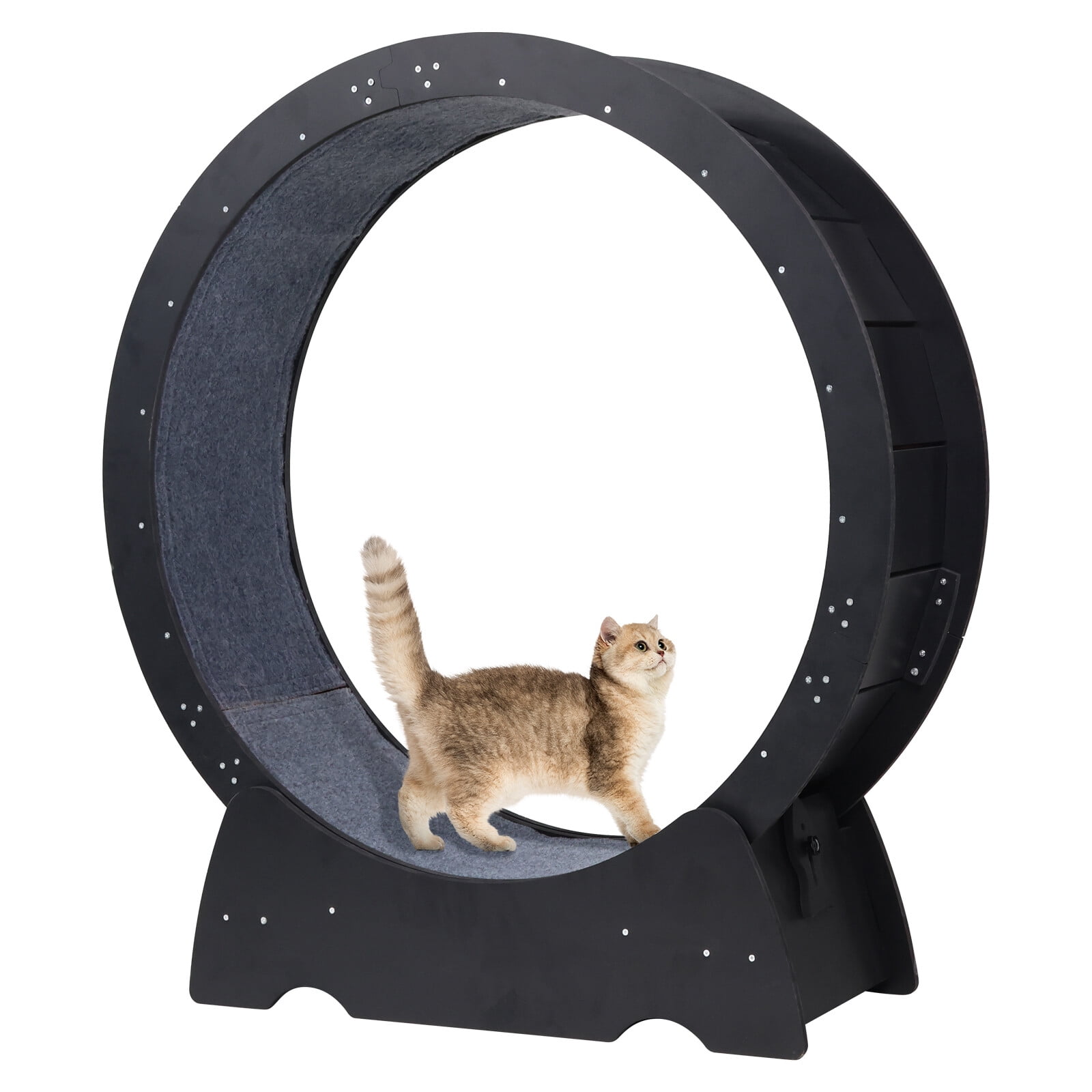 PRZL Cat Exercise Wheel Large Wooden/PVC Cat Treadmill Running Wheel ...