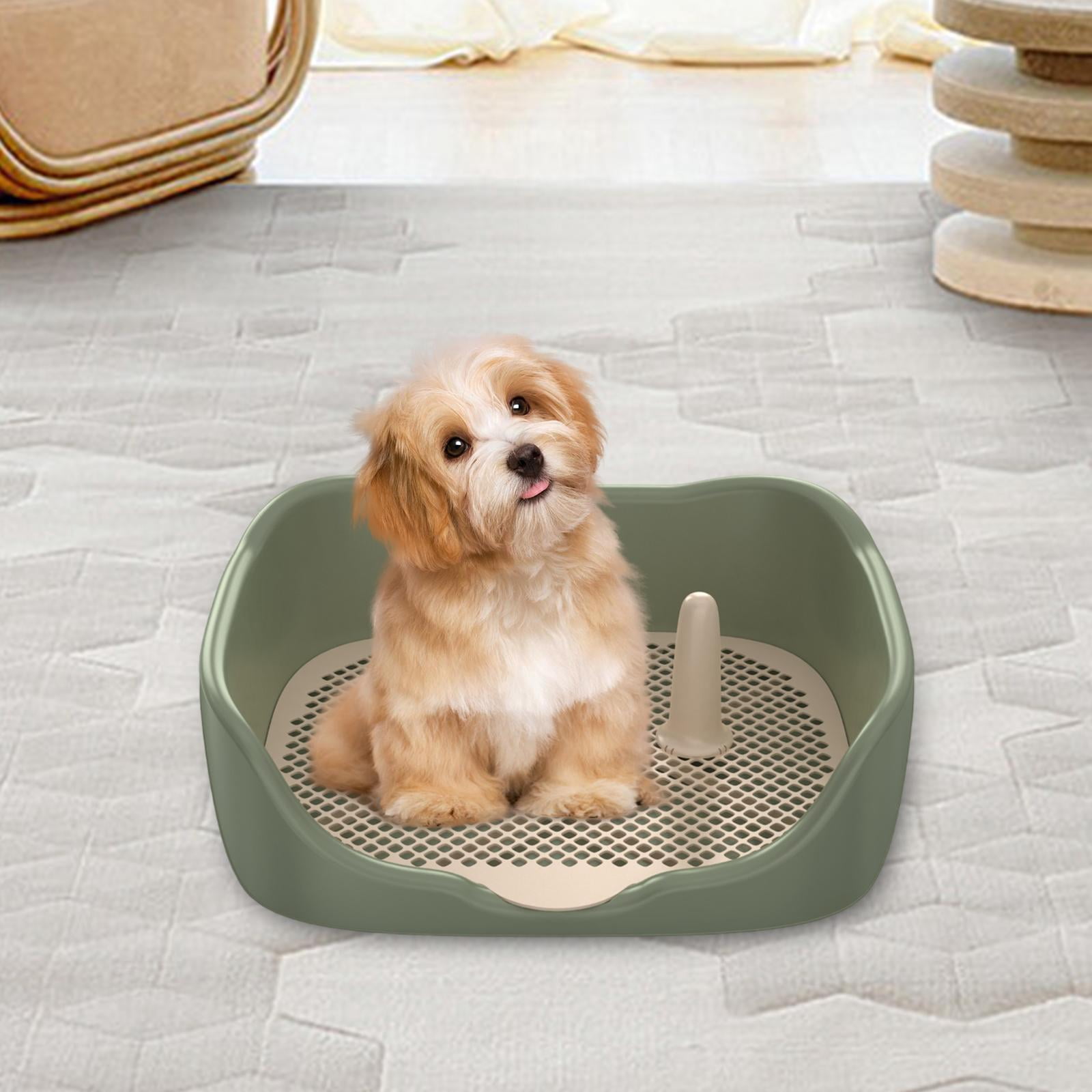 PRZL Dog Toilet, Mesh Grids Pet Training Toilet, Indoor Indoor Potty ...