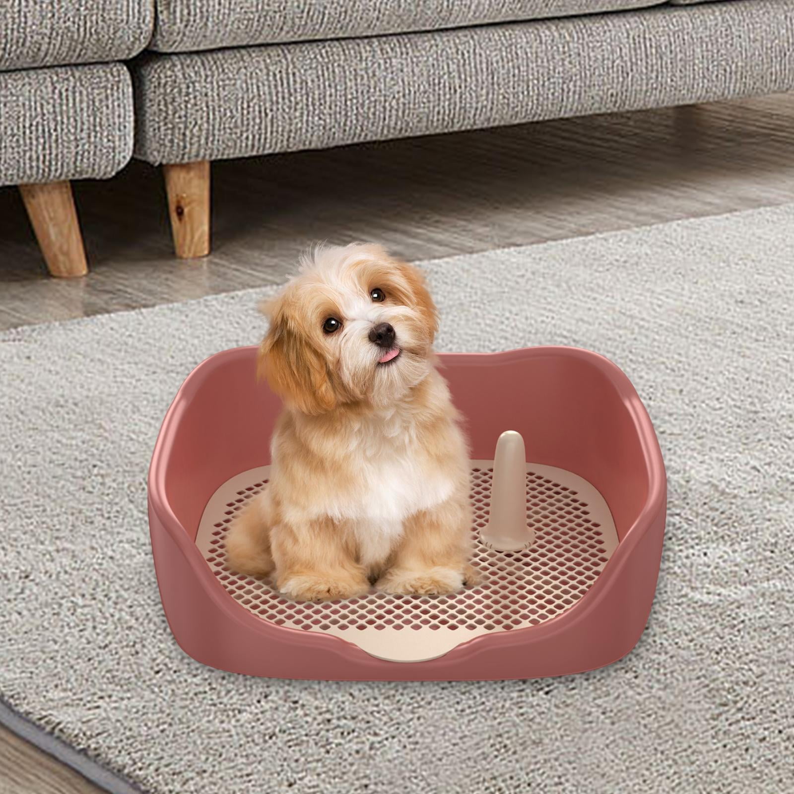 PRZL Dog Toilet, Mesh Grids Pet Training Toilet, Indoor Indoor Potty ...