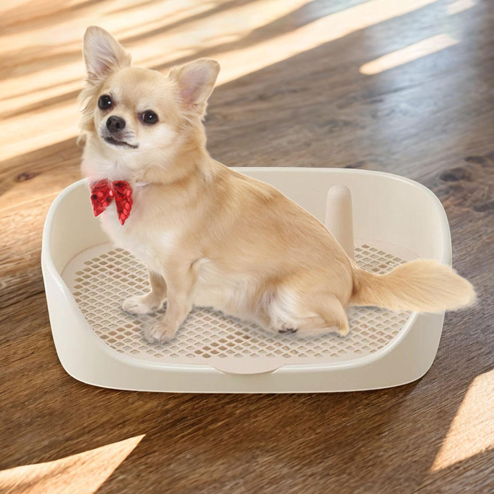 PRZL Dog Toilet Tray Removable Safe Plastic Dog Toilet Training ...