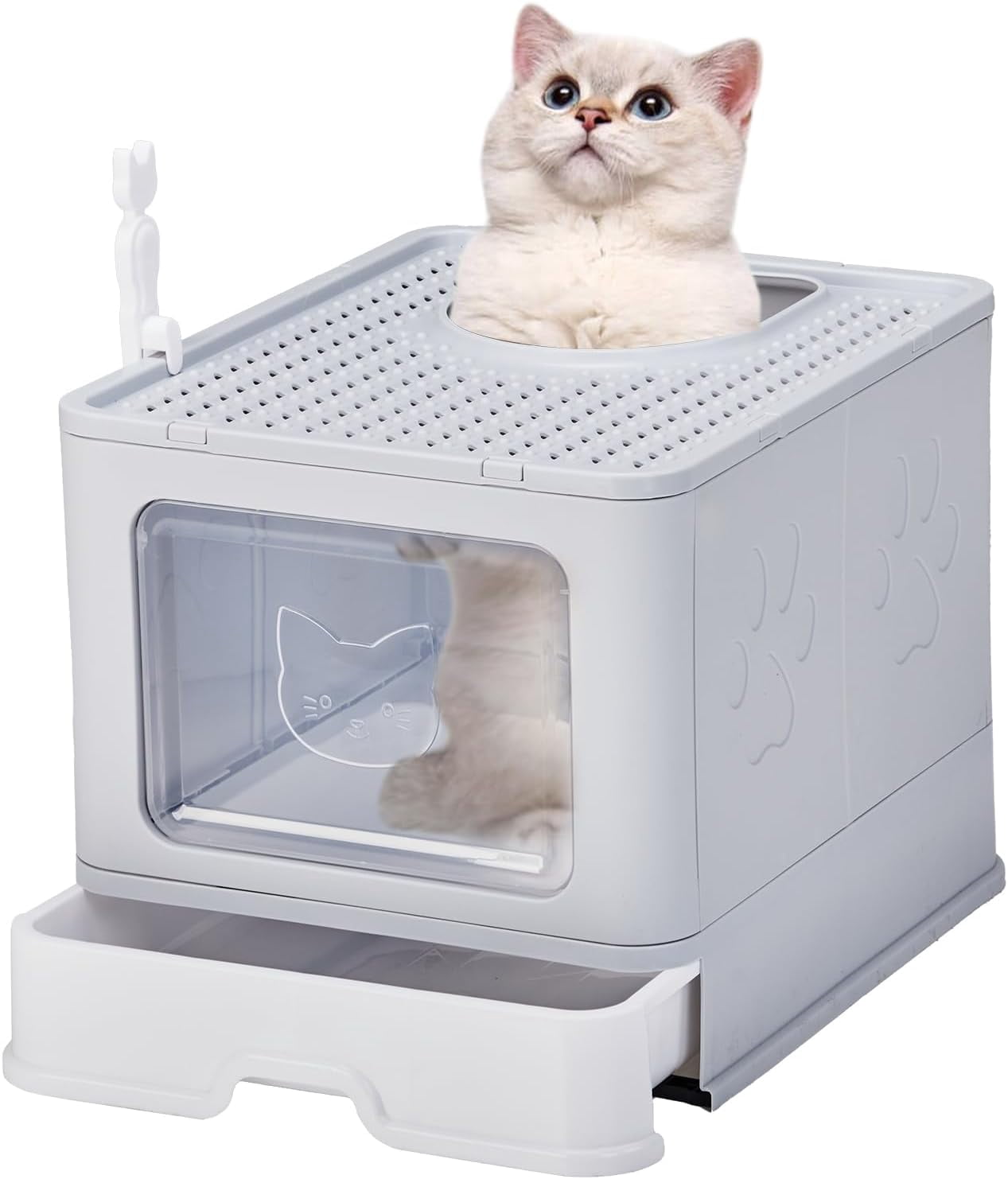 PRZL Large Cat Litter Box with Litter Mat and Scoop, Foldable Litter ...