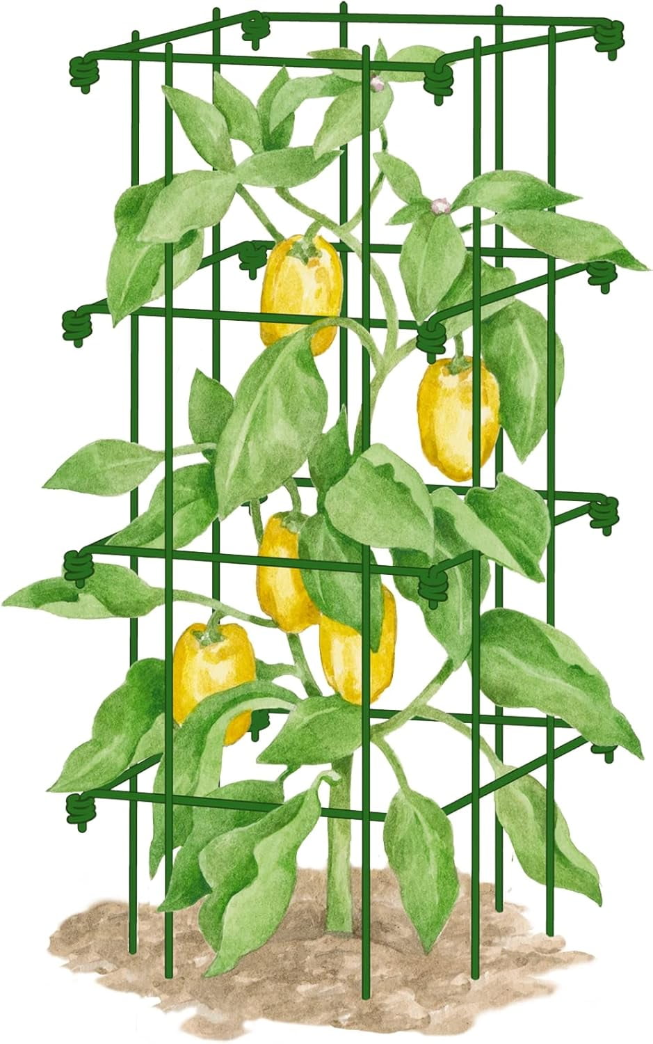 PRZL Pepper and Eggplant Cages Plant Stand | Heavy Gauge Sturdy Garden ...