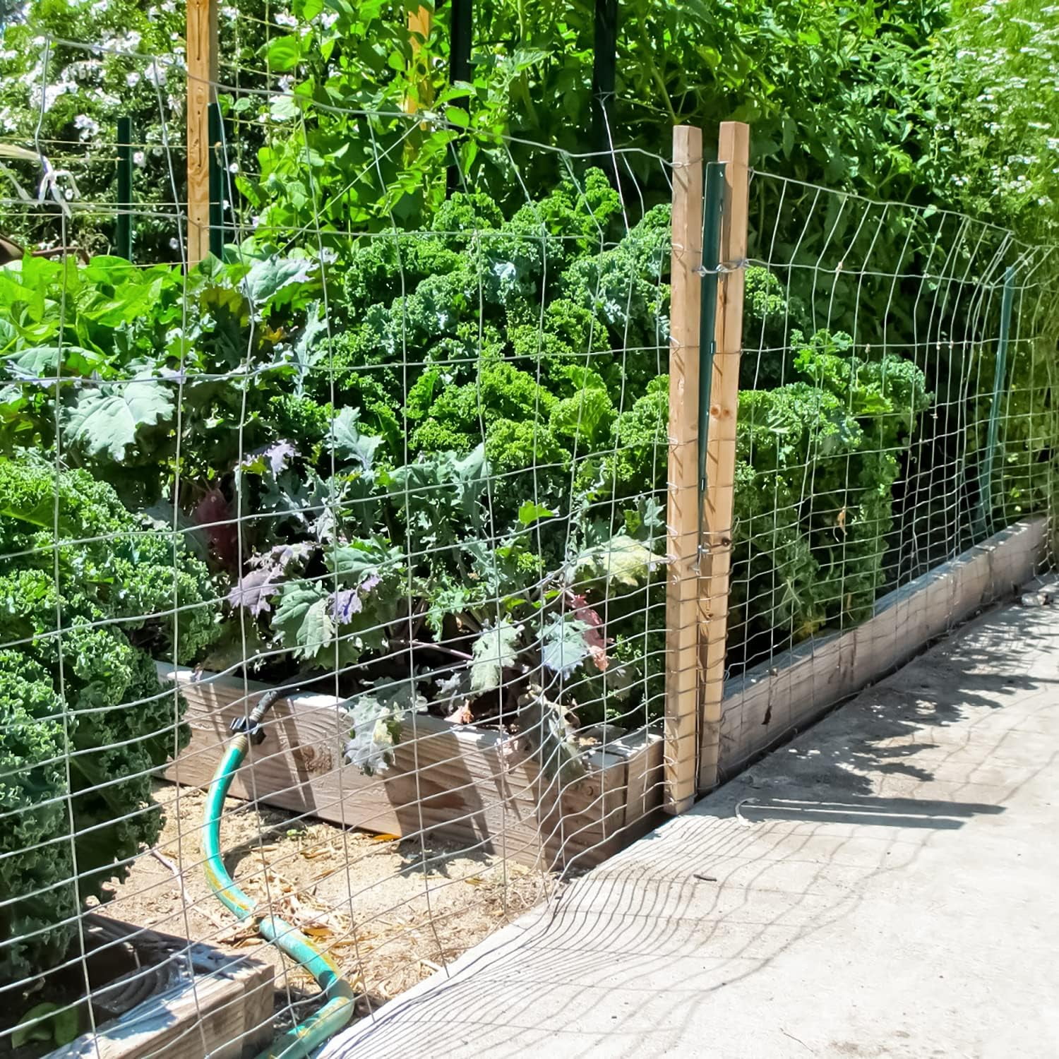 PRZL Rabbit Guard Fence, 16 Gauge Galvanized Welded Wire Fence for ...