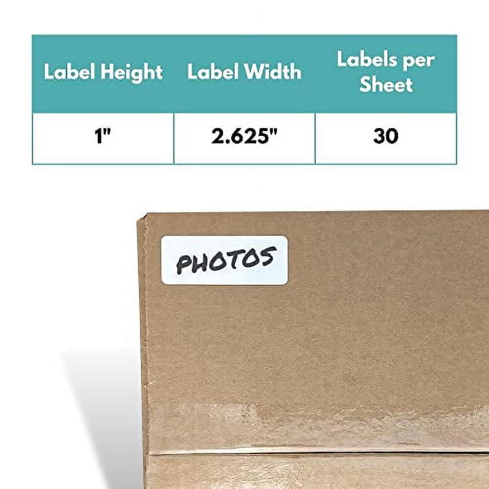 PSBM 2-Up Half Page Labels, 1000 Pages, White, 8.5 x 5.5 Inch, Address ...