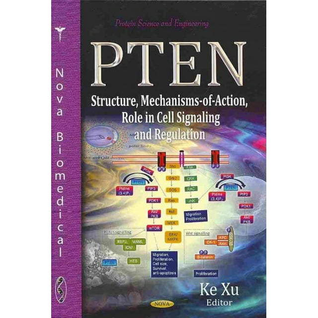 PTEN : Structure, Mechanisms-of-Action, Role in Cell Signaling and ...