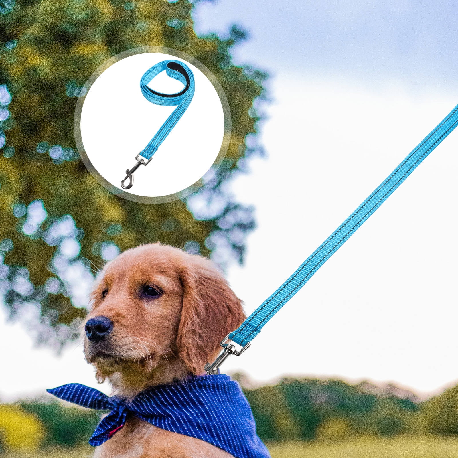 PTOOTP 1 Set Dog Walking Belt Ergonomic Grip for Dogs with Reflective ...