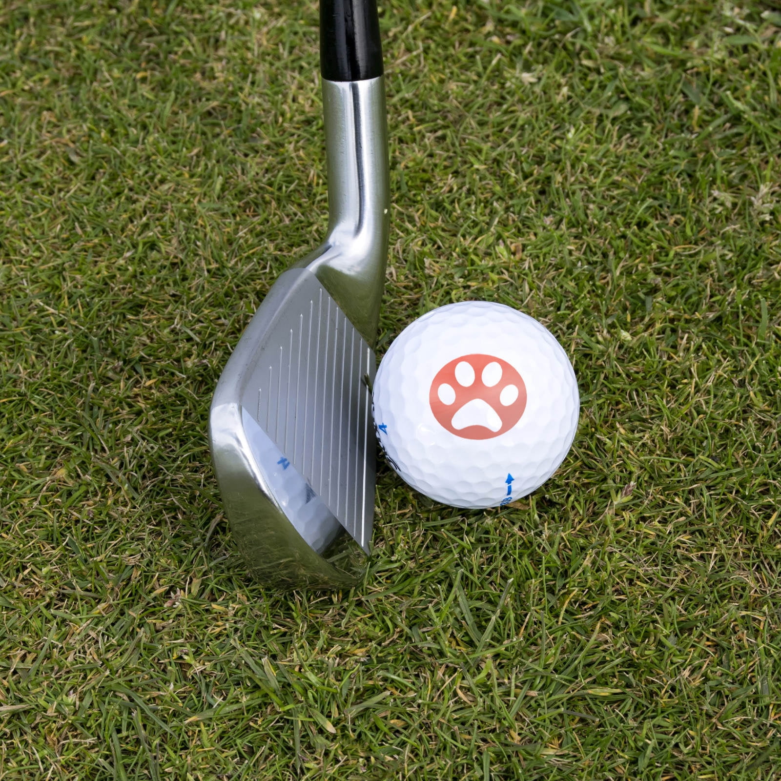 PTOOTP 1Pack Plastic Golf Ball Stamp Marker Reusable Golf Stamper for ...