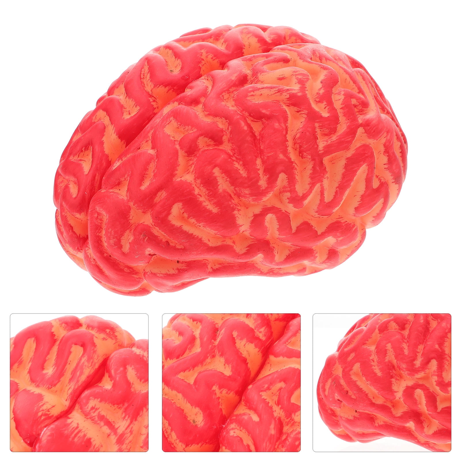 PTOOTP 1Set Brain Prop Realistic Body Parts for Scary Toys and ...