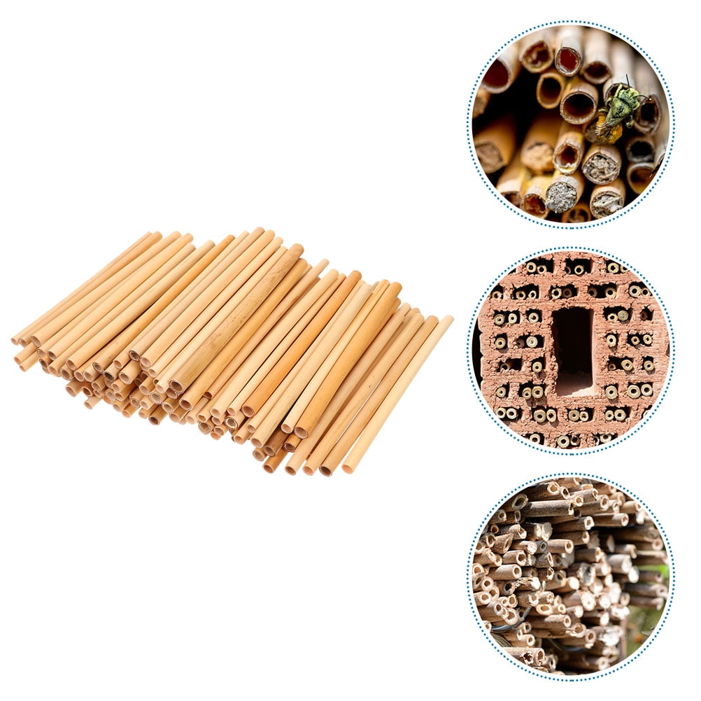 PTOOTP 50Pcs Reed Bee Tubes for Diy Beehive and Pollination in Garden ...