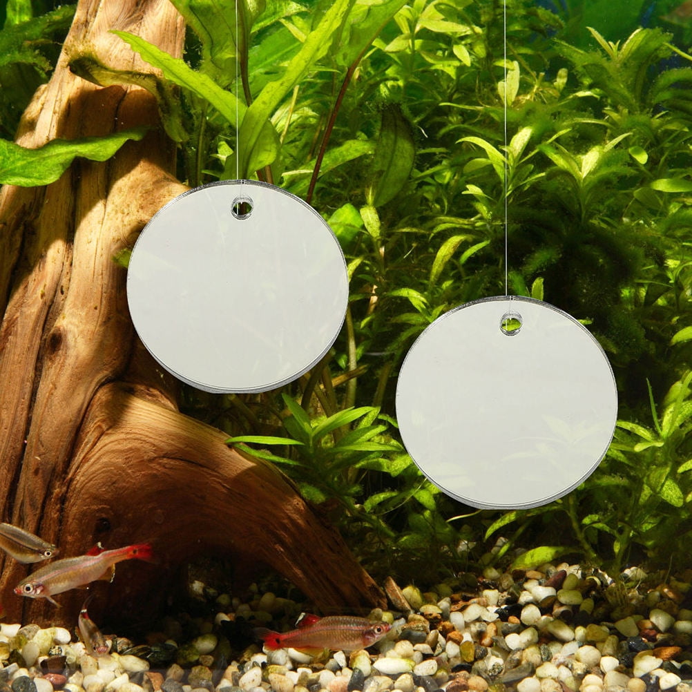 PTOOTP Betta Fish Training Mirror with Floating Ball for Aquarium ...