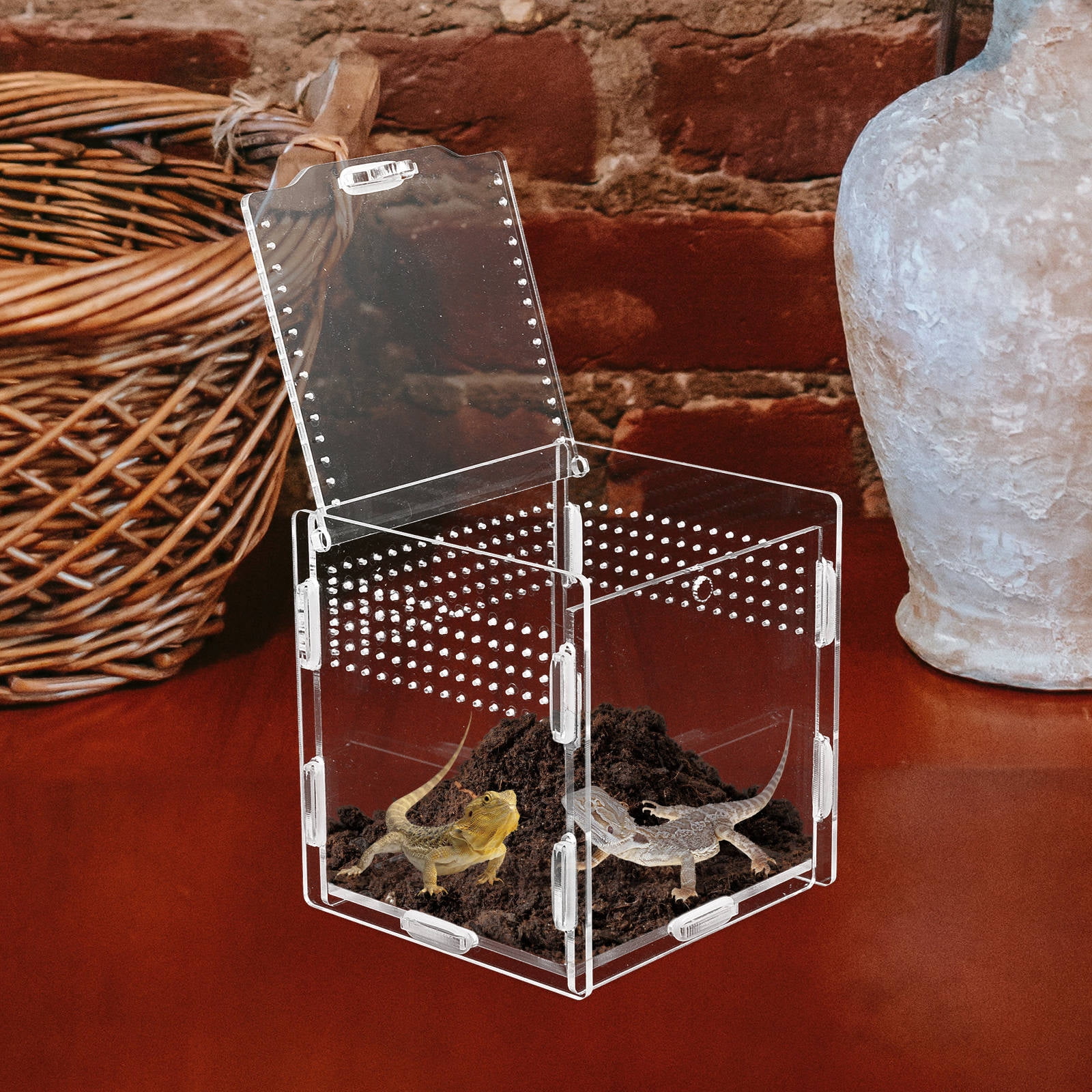 PTOOTP Transparent Reptile Feeding Box for Home Use with Clear Design ...