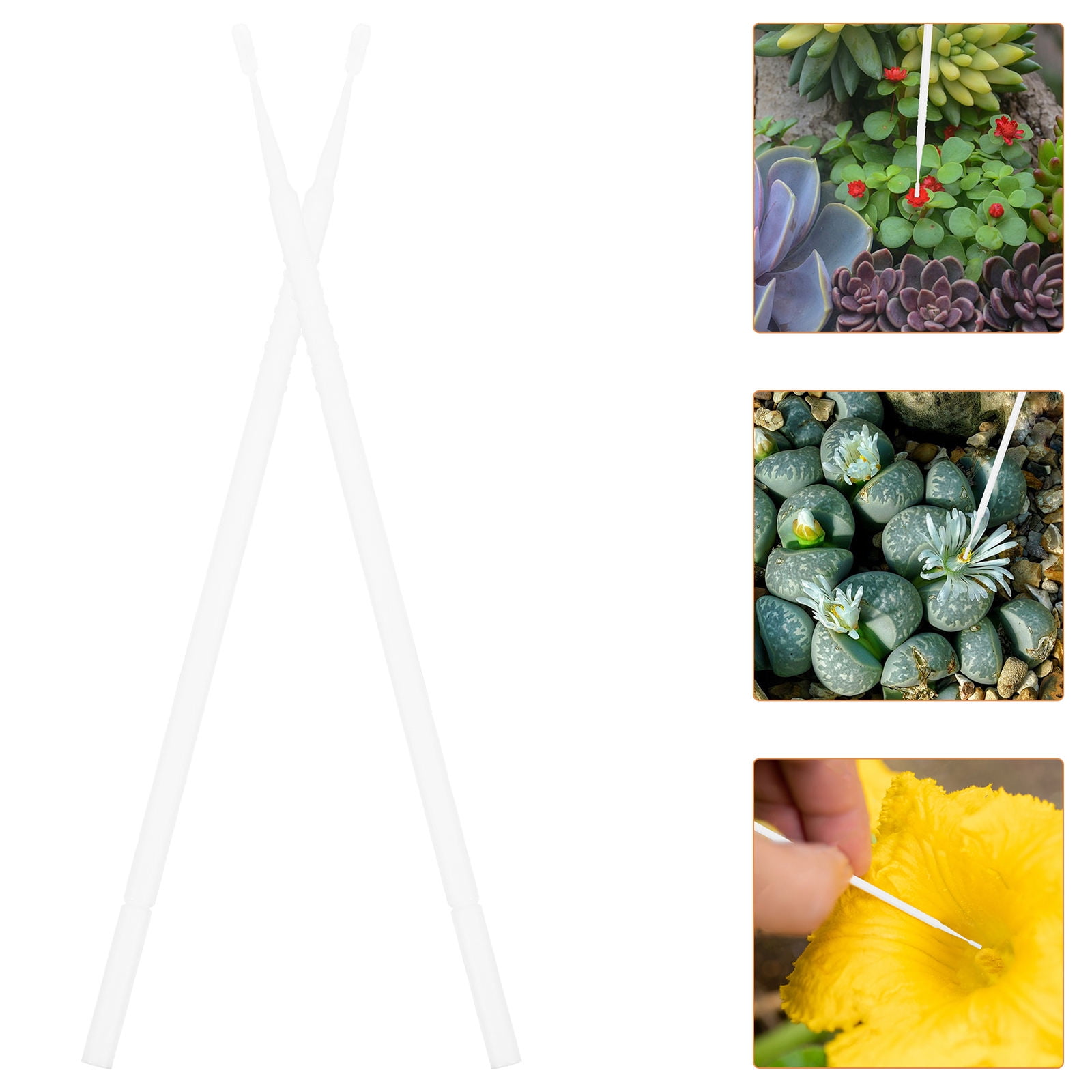 PTOOTP 20Pcs Plant Pollinator Stick White Durable Tool for Outdoor ...