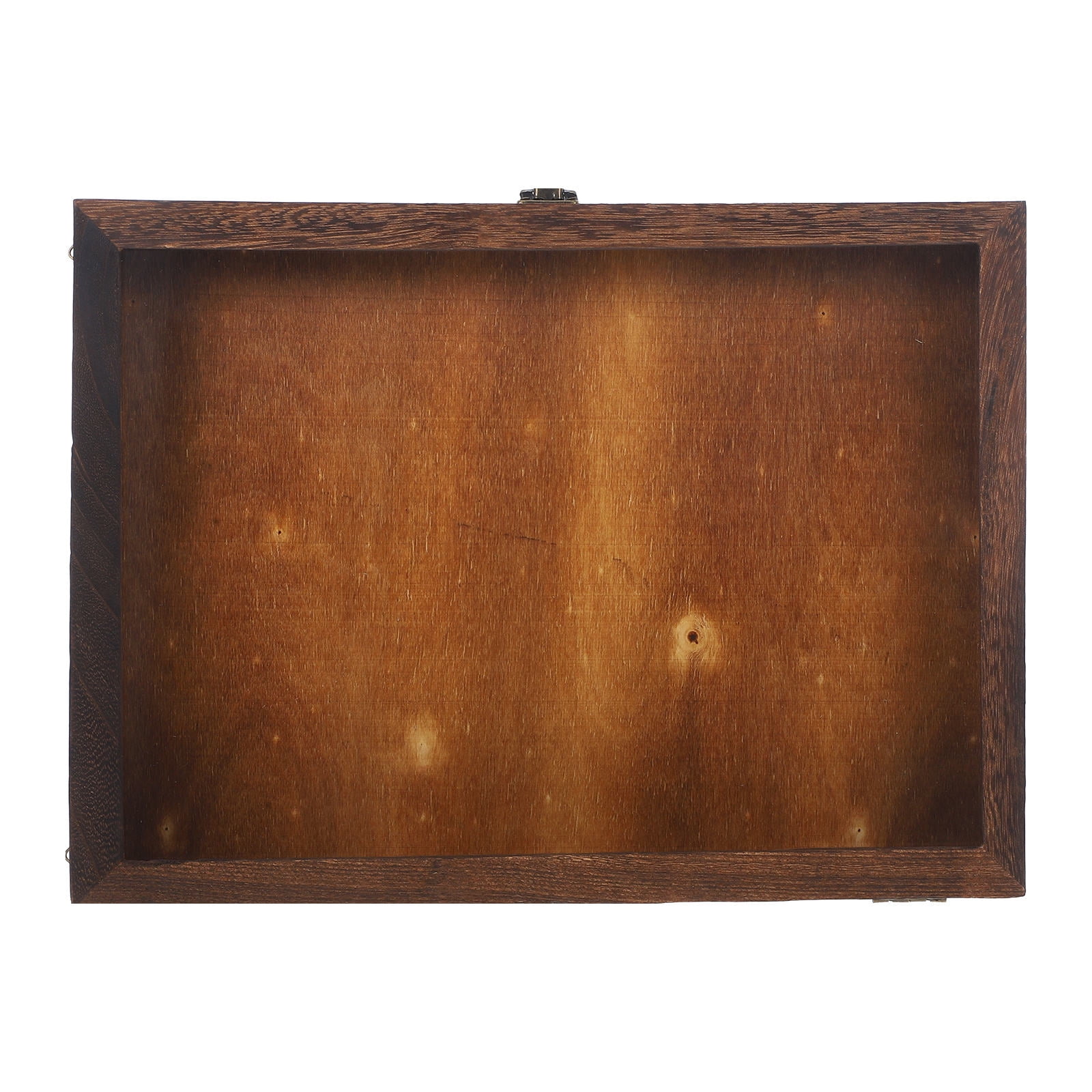 PTOOTP Wooden Specimen Display Box with Clear Acrylic Lid for Home ...