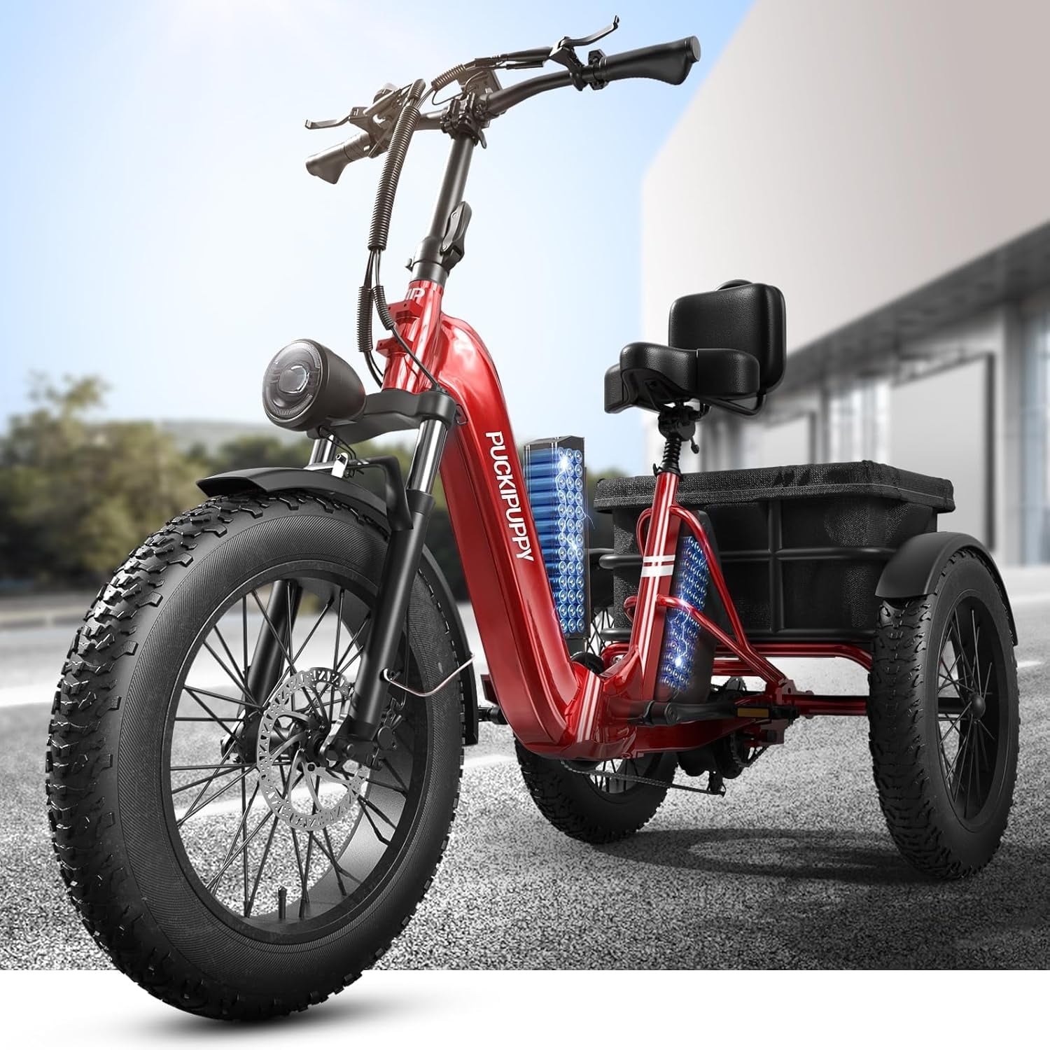 PUCKIPUPPY Dual Battery Electric Tricycle,750w Motor Pickup Class Trike ...