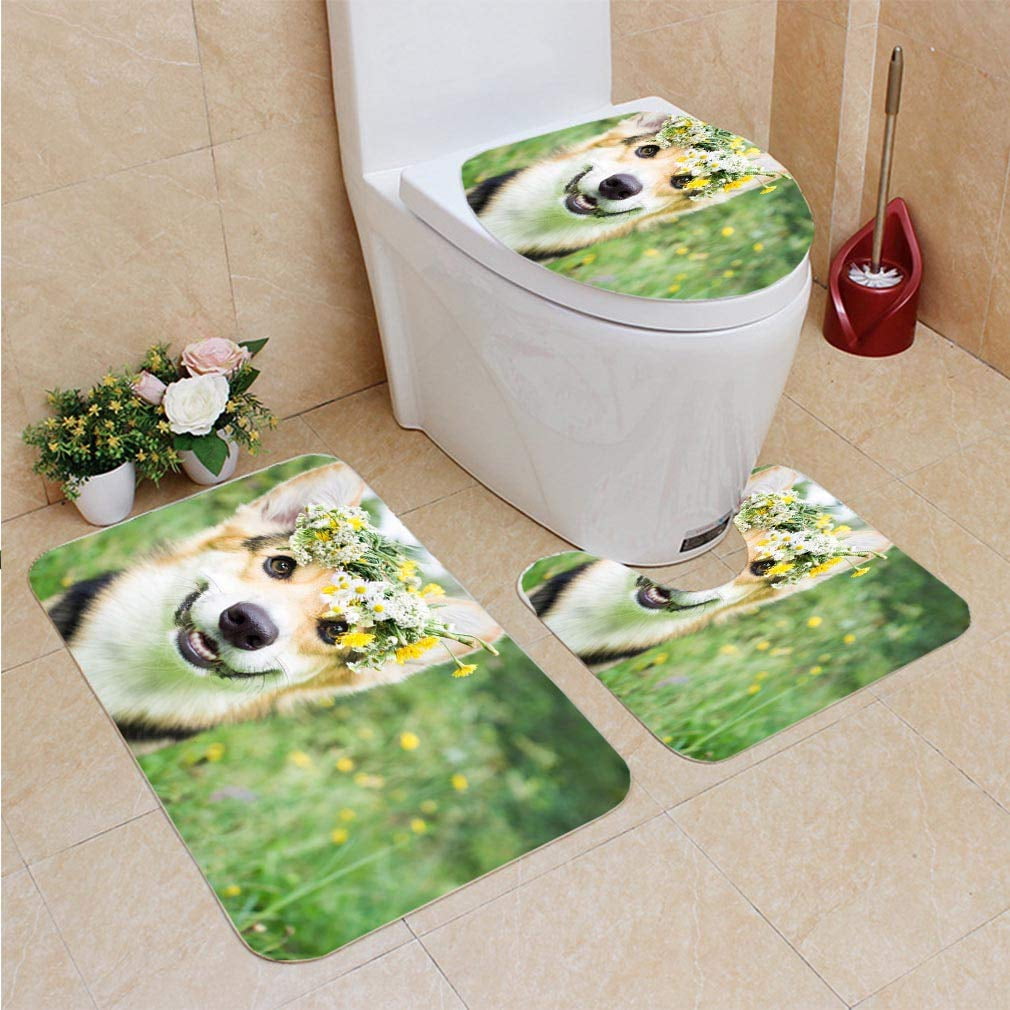 PUDMAD A Dog Breed Wales Corgi Pembroke a Walk in Summer Forest A Dog ...