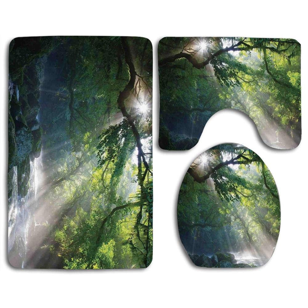 PUDMAD Rainforest Stream in Jungle Stones Under Shadows Trees Sunlight ...