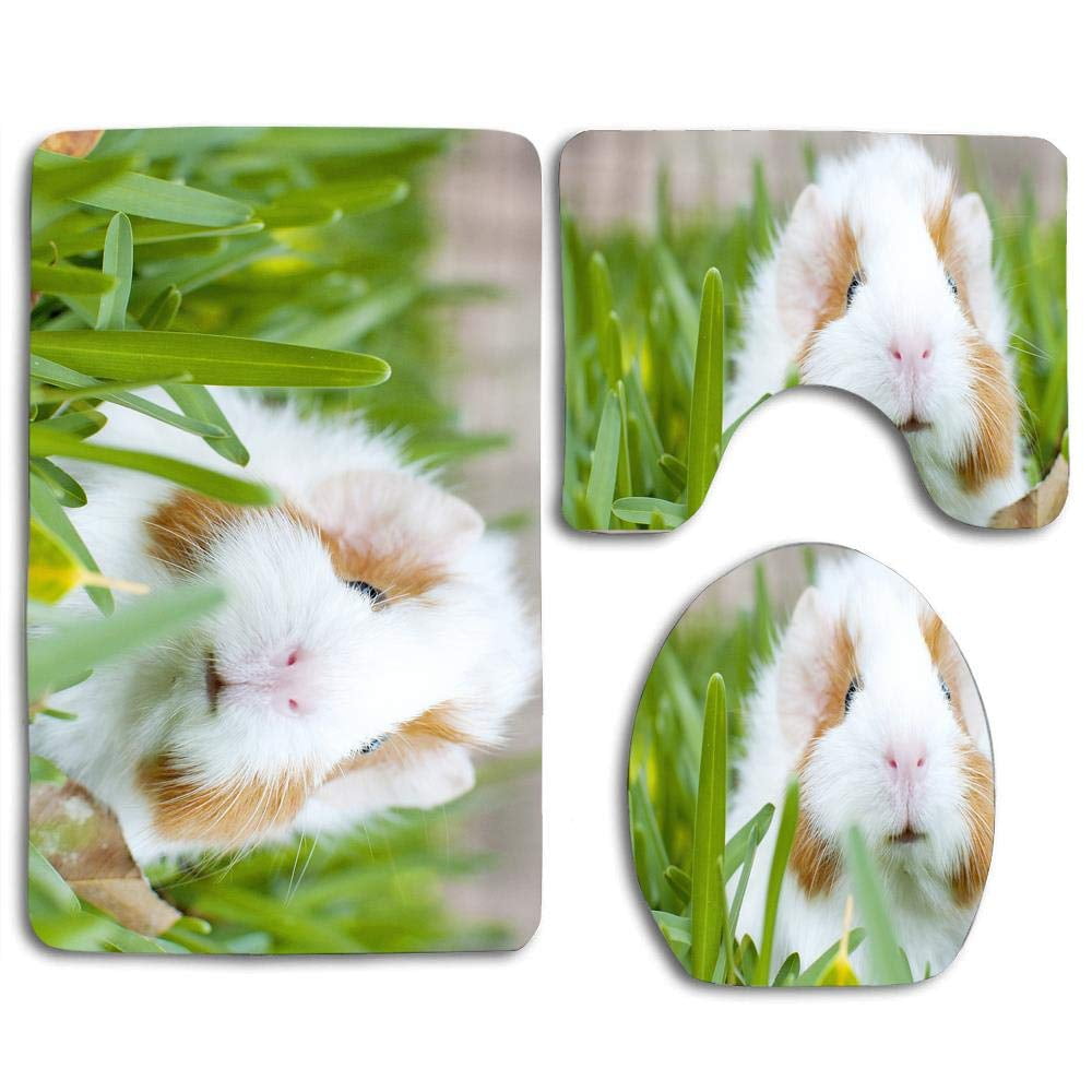 PUDMAD Superior Guinea Pig Laptop 3 Piece Bathroom Rugs Set Bath Rug ...