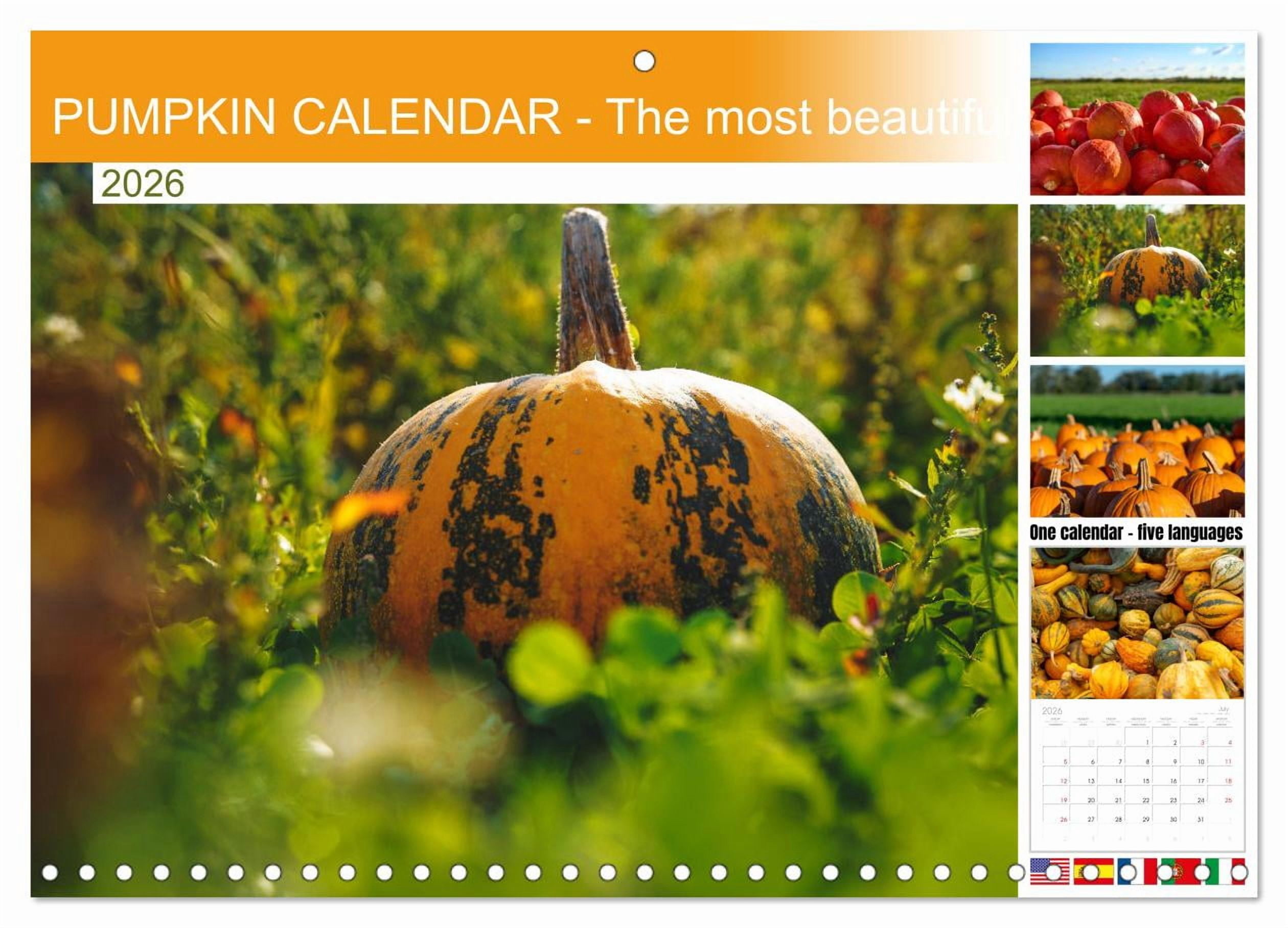 PUMPKIN CALENDAR - The most beautiful pumpkins of the year (Monthly ...