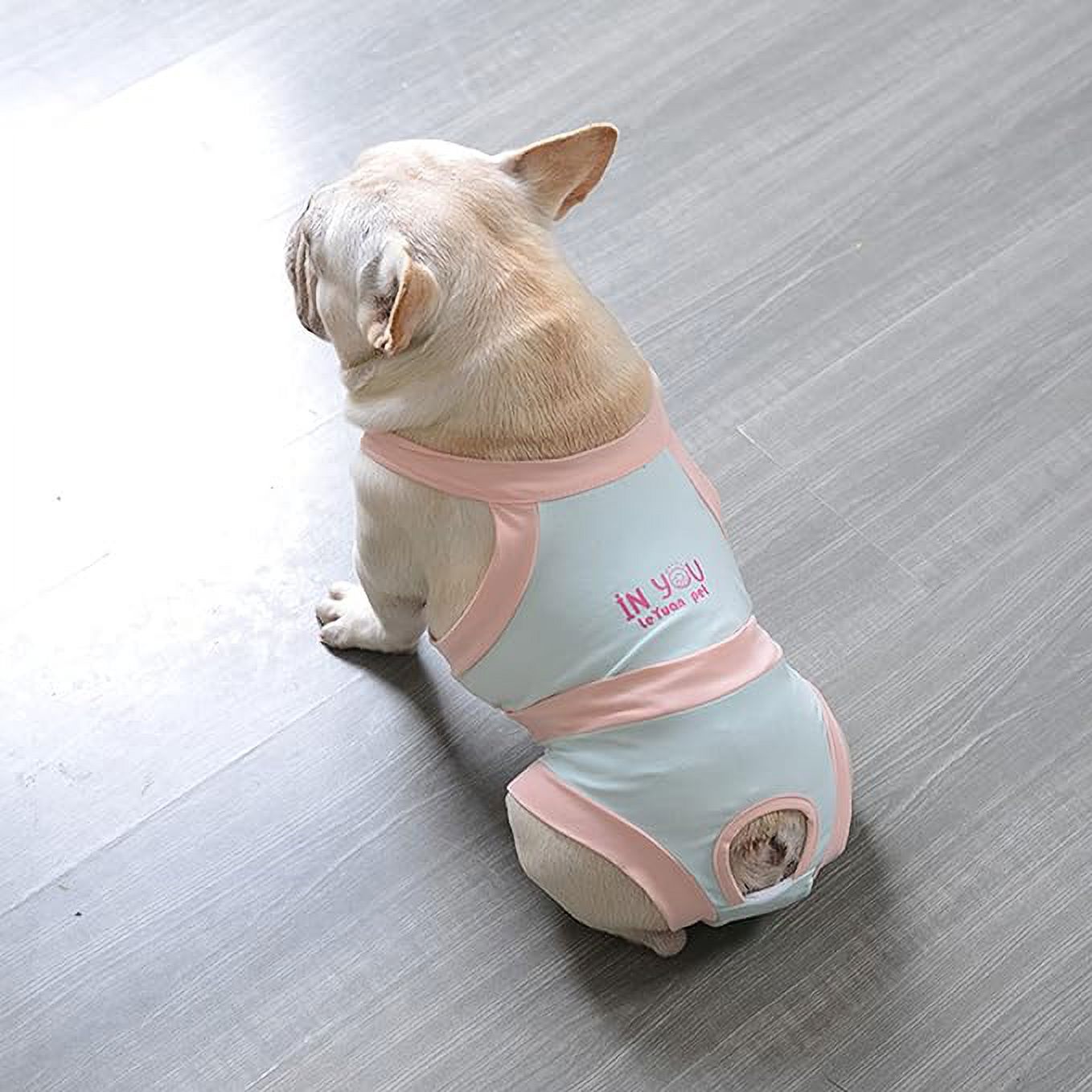 Diapers French Bulldog