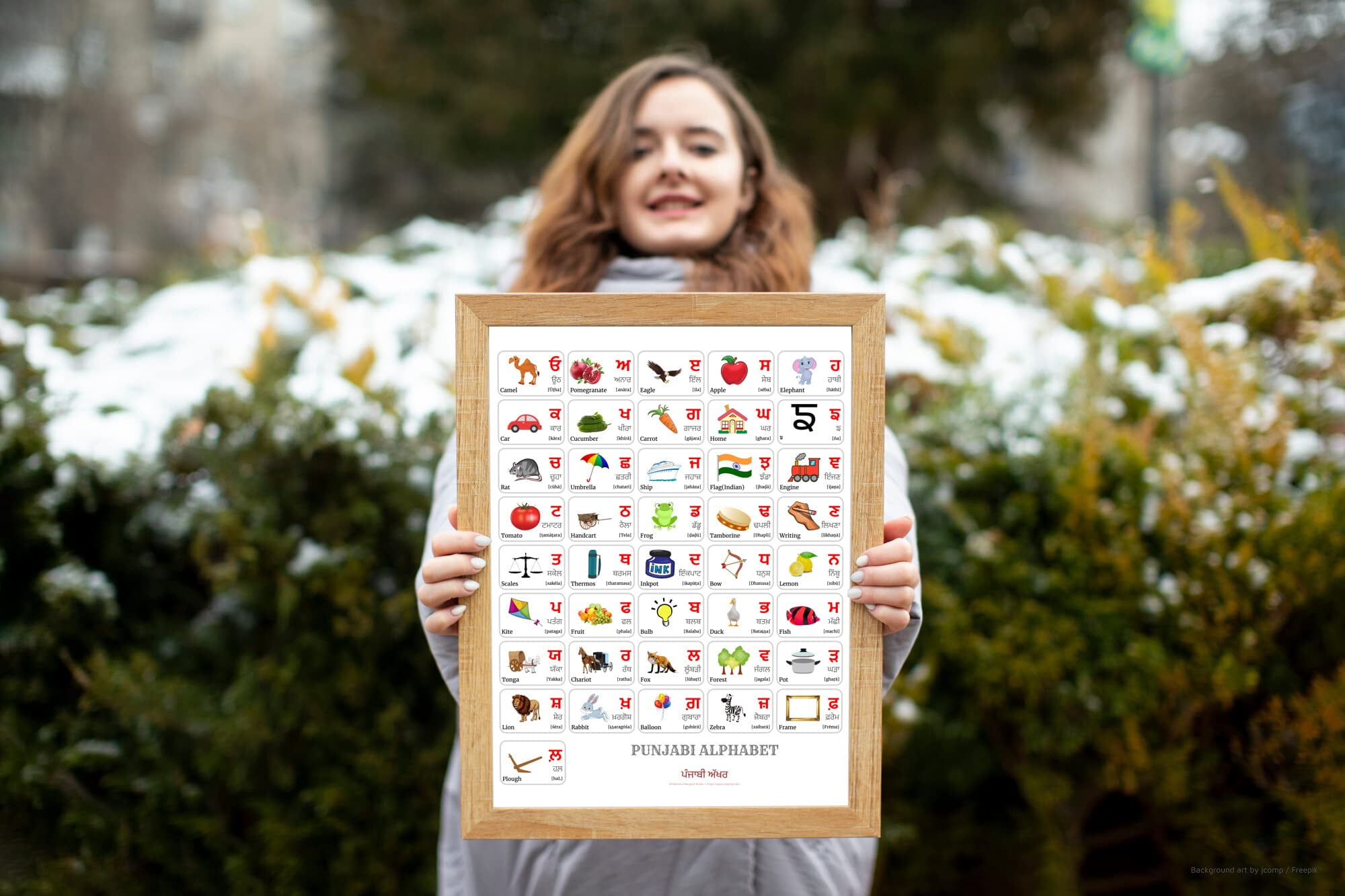 PUNJABI Alphabet POSTER Print With Words And English Translations (16 x ...
