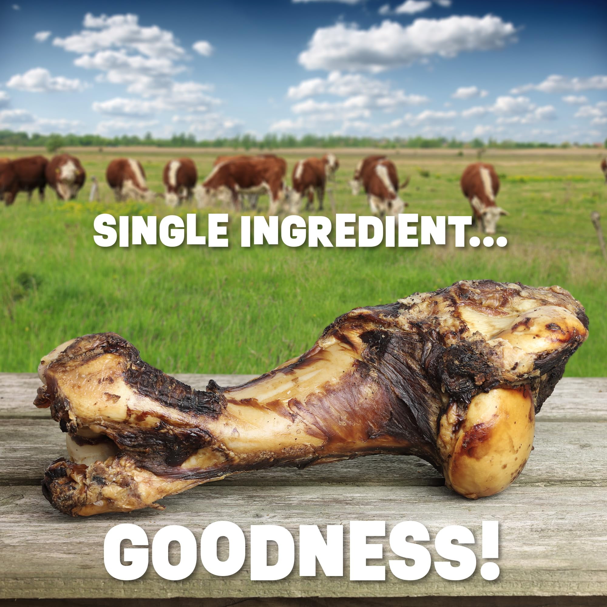 PUPDAWGS Dog-Bones for FEV6 Aggressive Chewers | 11-13" Hickory Smoked ...