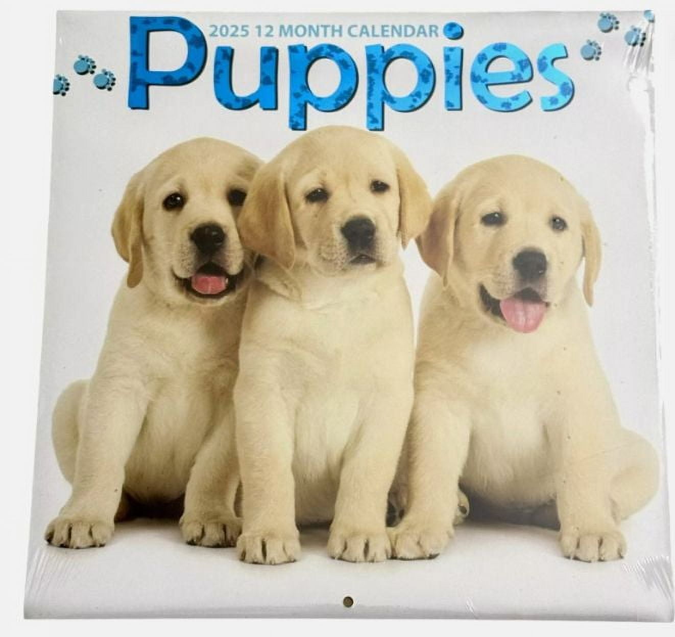 PUPPIES 2025 12”x 24” 12 Month Wall Calendar January-December - Walmart.com