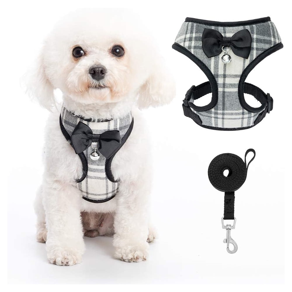 PUPTECK Small Dog Harness and Leash Set, Soft A-line Chest Strap with ...