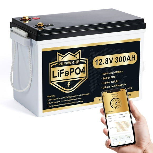 Lifepo4 Battery