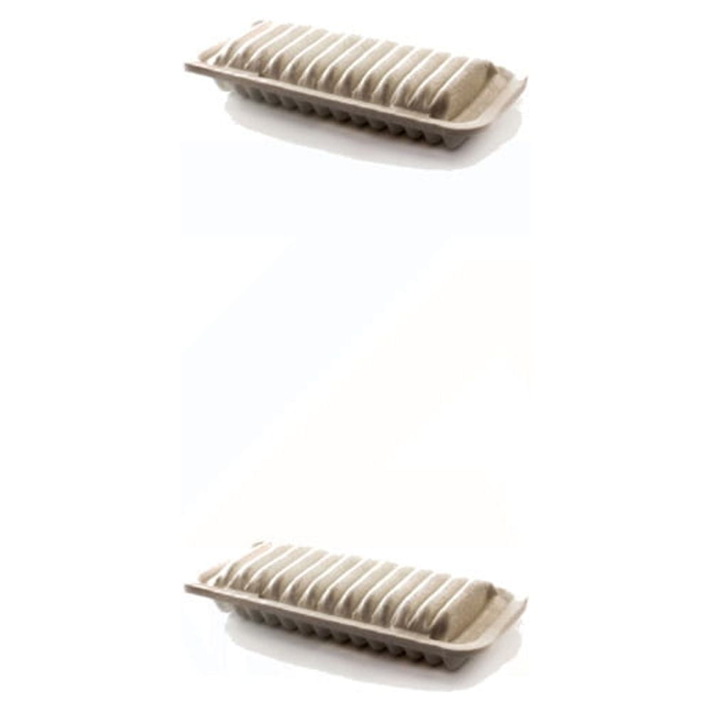 PUR Air Filter (2 Pack) for Car Toyota Echo Scion xB xA K57-100309 ...