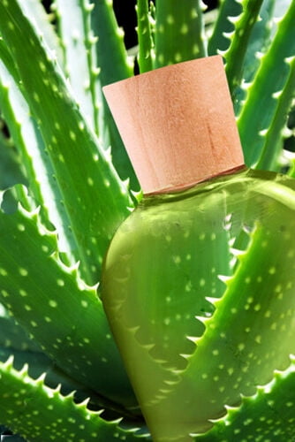 PURE ALOE VERA GEL Healing Skin Treatment - Heal Acne,Eczema,Psoriasis ...