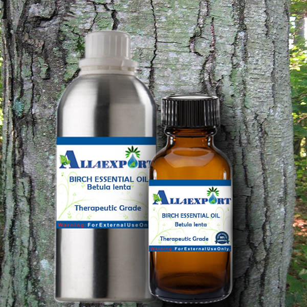 PURE BIRCH ESSENTIAL OIL Betula lenta THERAPEUTIC NATURAL ESSENTIAL OIL ...