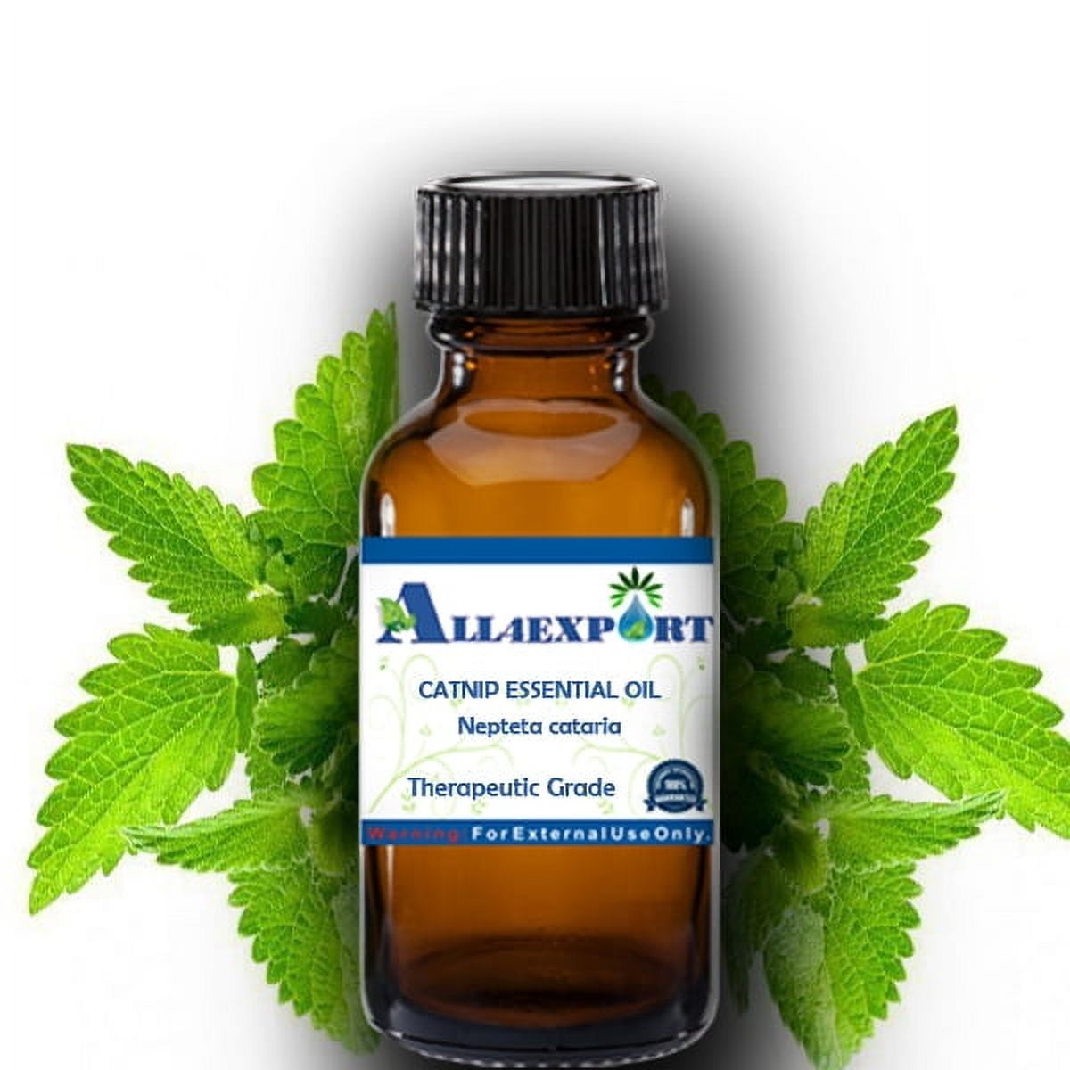 PURE CATNIP ESSENTIAL OIL Nepteta cataria THERAPEUTIC NATURAL ESSENTIAL ...