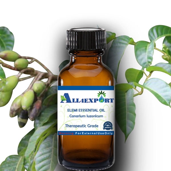 PURE ELEMI ESSSENTIAL OIL Canarium luzonicum THERAPEUTIC NATURAL ...