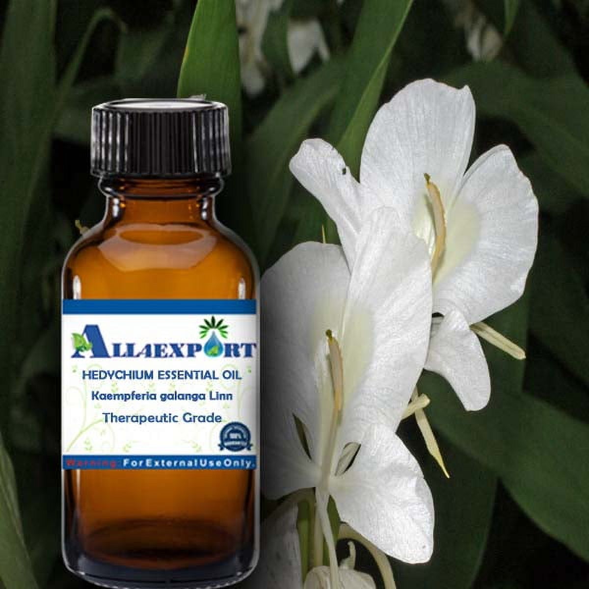 PURE HEDYCHIUM ESSENTIAL OIL Kaempferia galanga Linn THERAPEUTIC ...