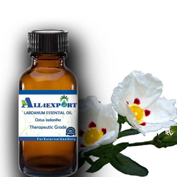 PURE LABDANUM ESSENTIAL OIL Cistus ladanifer THERAPEUTIC NATURAL ...