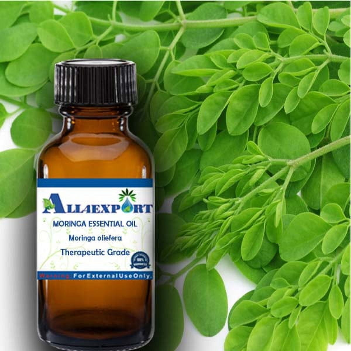 PURE MORINGA ESSENTIAL OIL Moringa oliefera THERAPEUTIC NATURAL ...