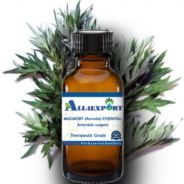 PURE MUGWORT (Armoise) ESSENTIAL OIL Artemisia vulgaris THERAPEUTIC ...