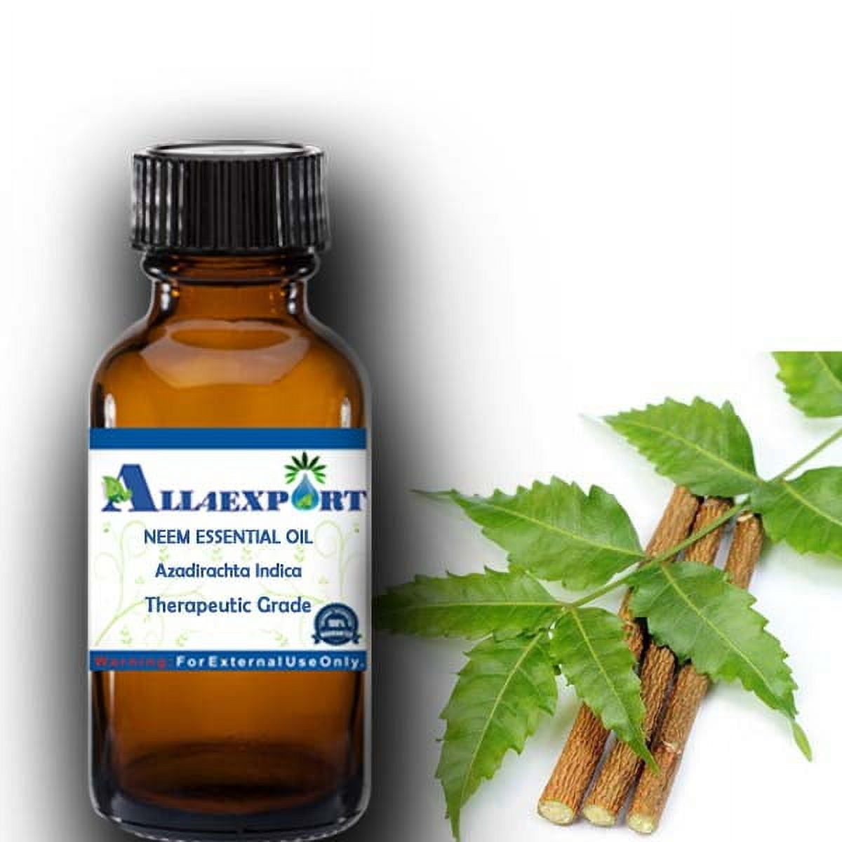 PURE NEEM ESSENTIAL OIL Azadirachta Indica THERAPEUTIC NATURAL ...