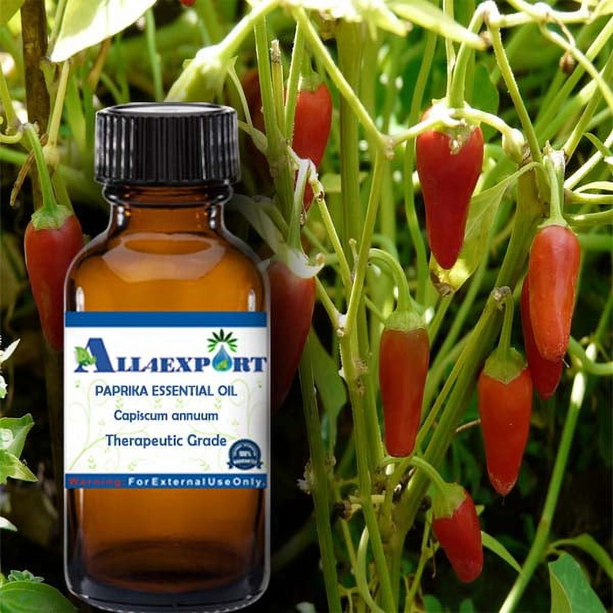 PURE PAPRIKA ESSENTIAL OIL Capiscum annuum THERAPEUTIC NATURAL ...