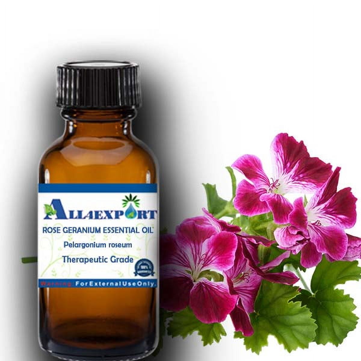 PURE ROSE GERANIUM ESSENTIAL OIL Pelargonium roseum THERAPEUTIC NATURAL ...