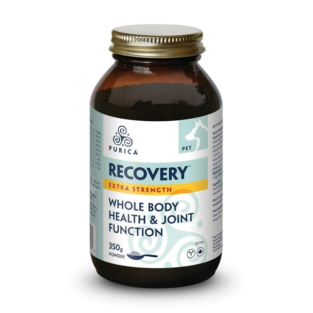 PURICA Recovery SA Powder 350g - Advanced Support for Joints, Comfort ...