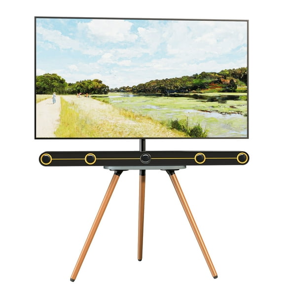 Shop Stylish TV Stands and Easels for Modern Home Entertainment