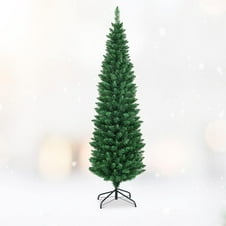 Real Small Christmas Trees